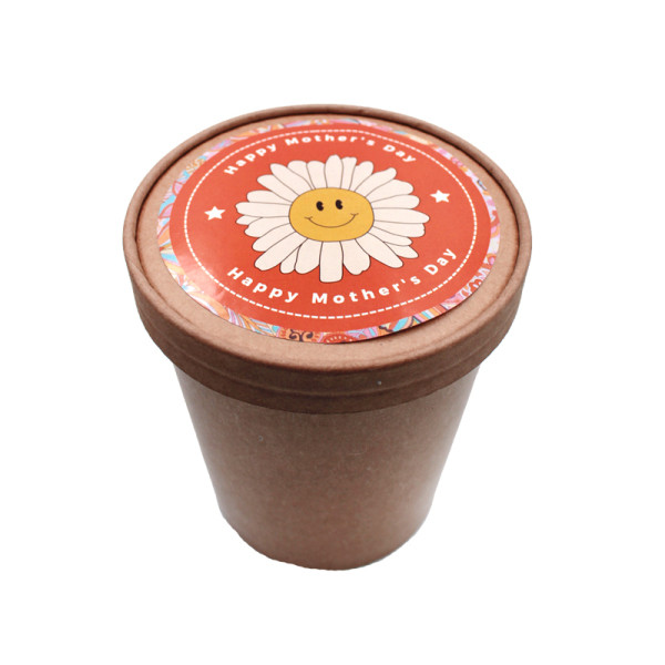 Happy Mother's Day Daisy Gift Tub - Gifts and Hampers - Online gift shop
