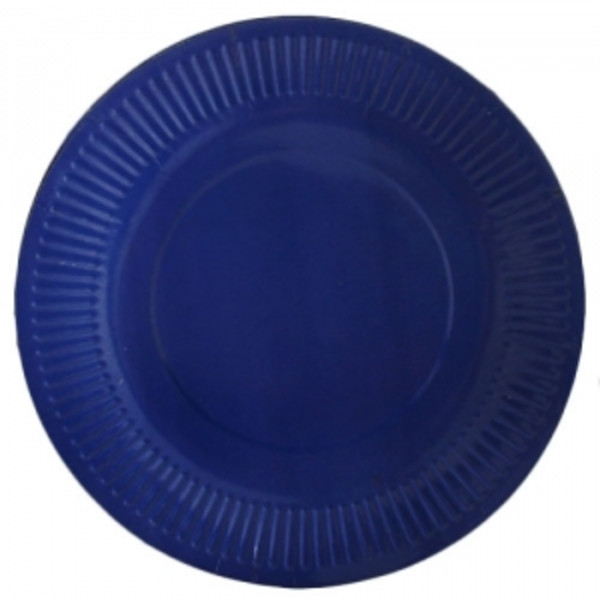 Navy Blue Paper Plates (10) - Large - Party Supplies - PartyLady
