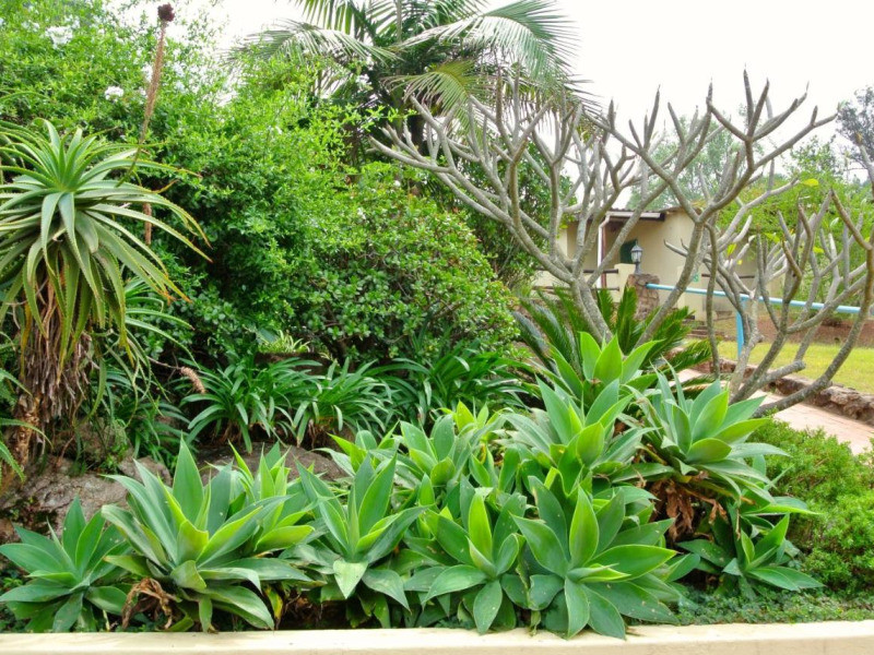 Emafini Country Lodge - Swop and Stay