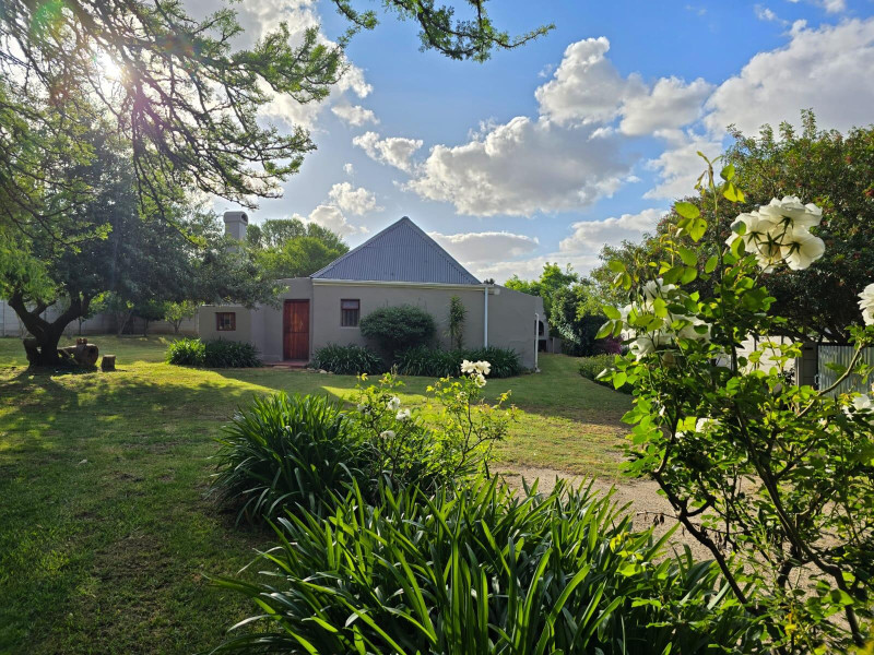 Willow Tree Cottage - Swop and Stay