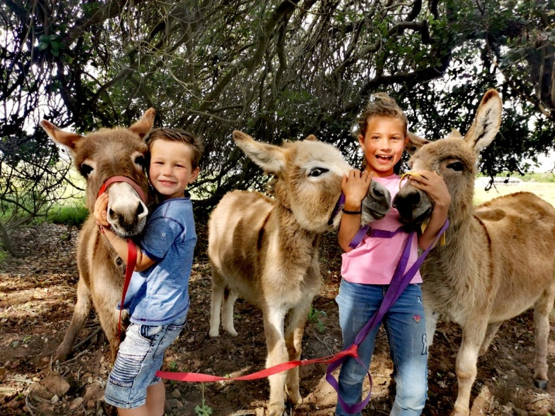 Oppi Plaas by die See - Swop and Stay