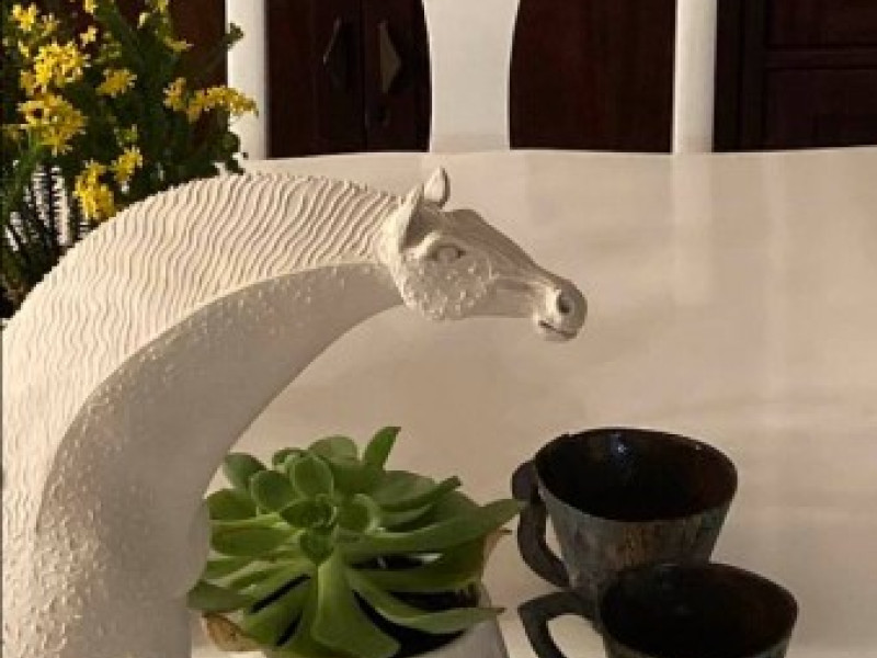 Two Oceans Artist's Home - Swop and Stay