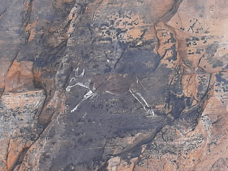 Imla Guest Farm - Swop and Stay