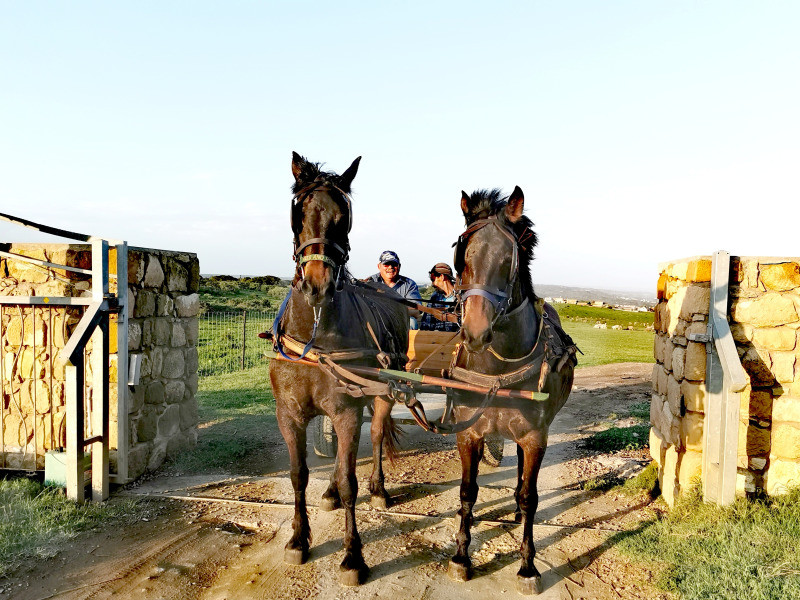 Oppi Plaas by die See - Swop and Stay