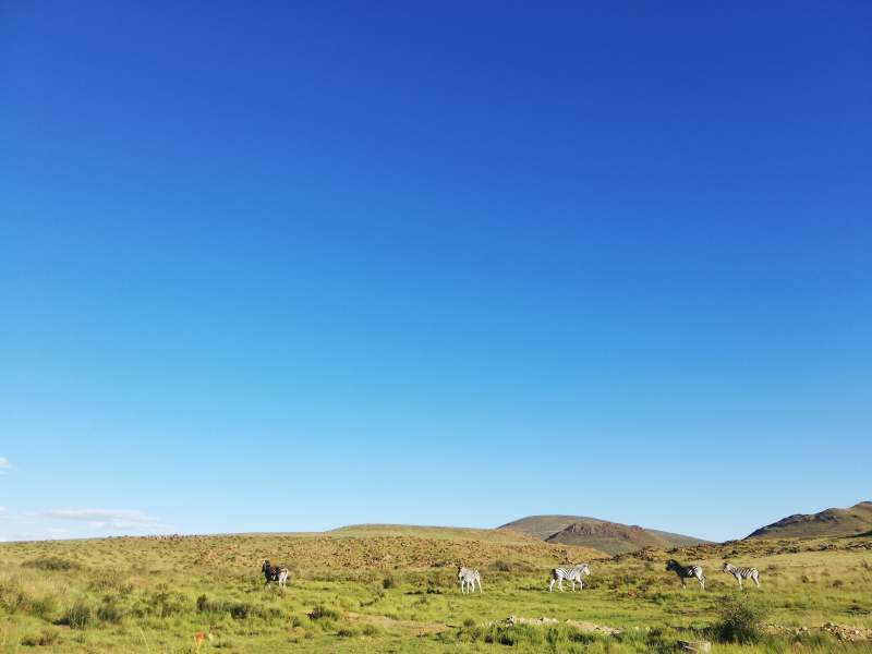 Bergplaas Nature Reserve - Swop and Stay