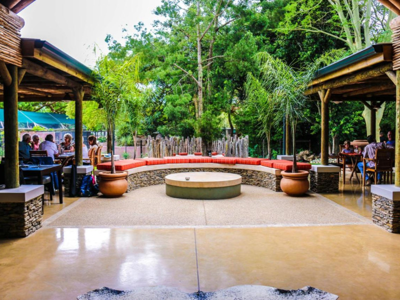 Addo Wildlife - Swop and Stay