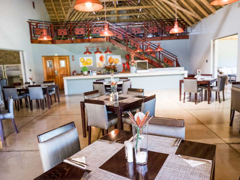 Addo Wildlife - Swop and Stay