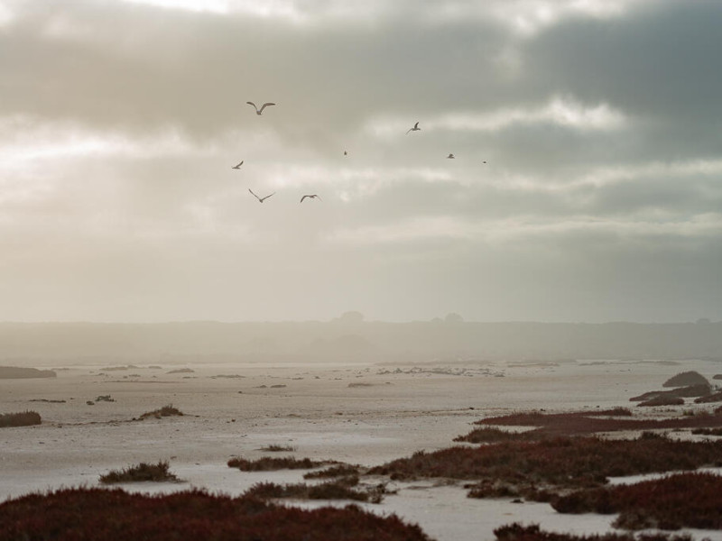 Strandkombuis - Swop and Stay