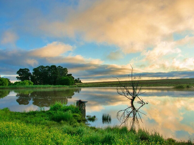 Muller House Guest Farm - Swop and Stay