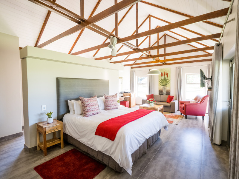 Addo Wildlife - Swop and Stay