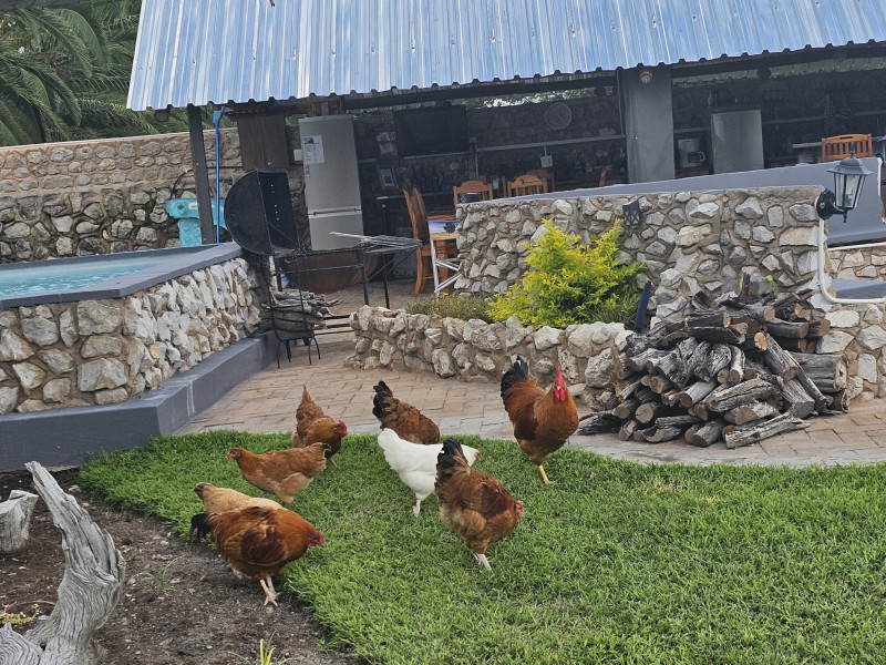 Tamboti Farm Accommodation - Swop and Stay