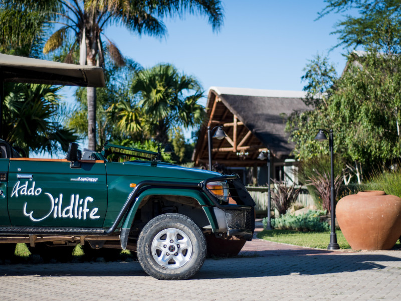 Addo Wildlife - Swop and Stay