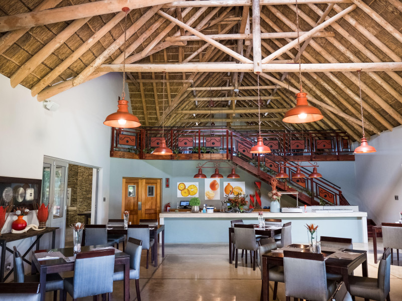 Addo Wildlife - Swop and Stay