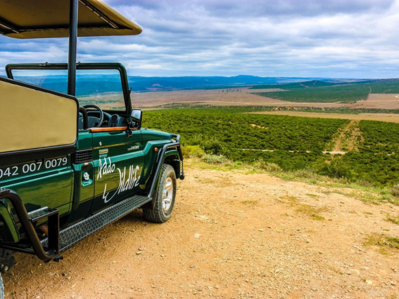 Addo Wildlife - Swop and Stay