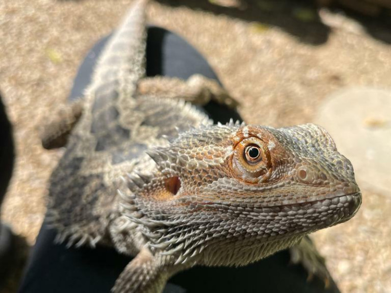 Addo Wildlife - Swop and Stay